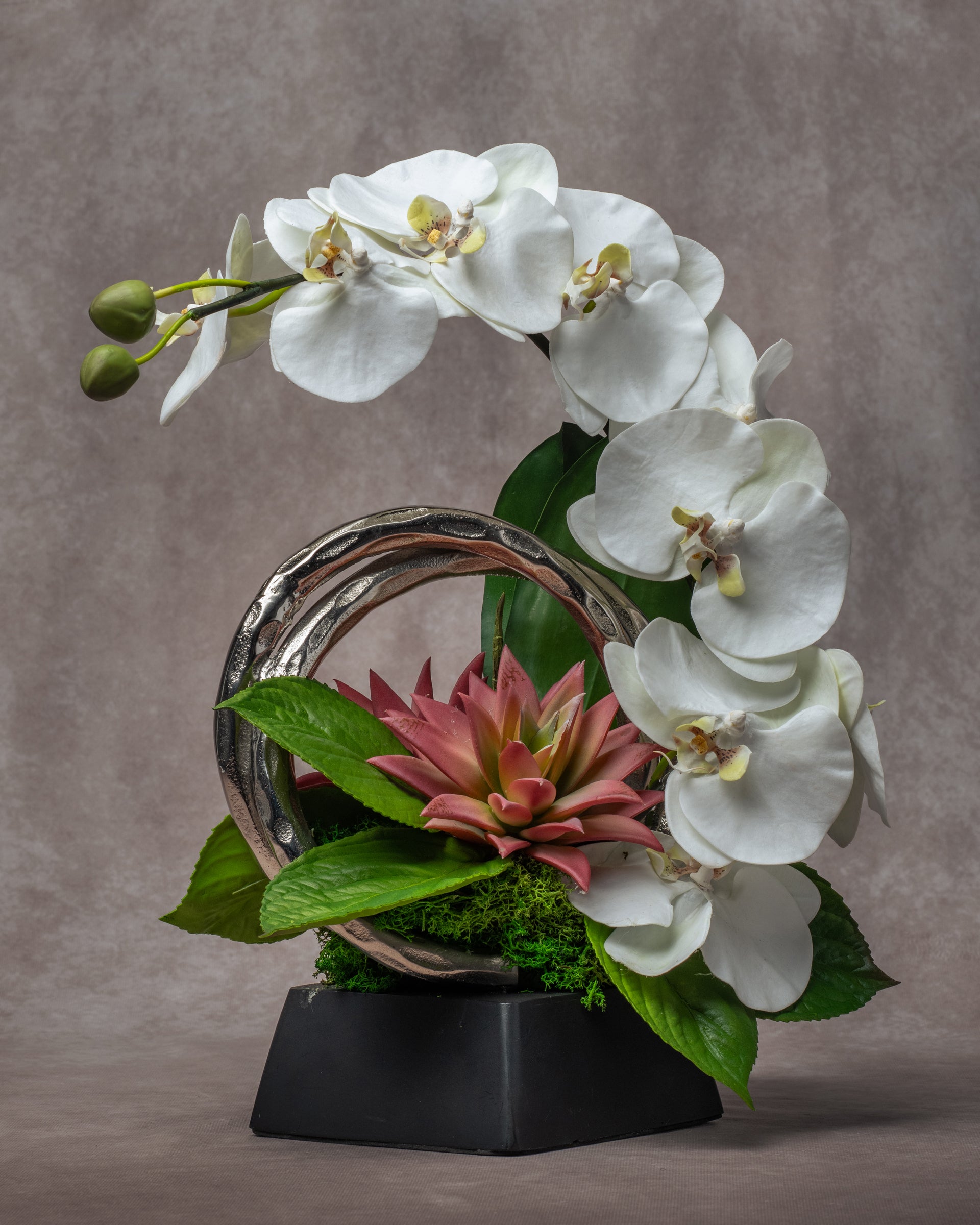 Kate – Barrett Bergmann Home