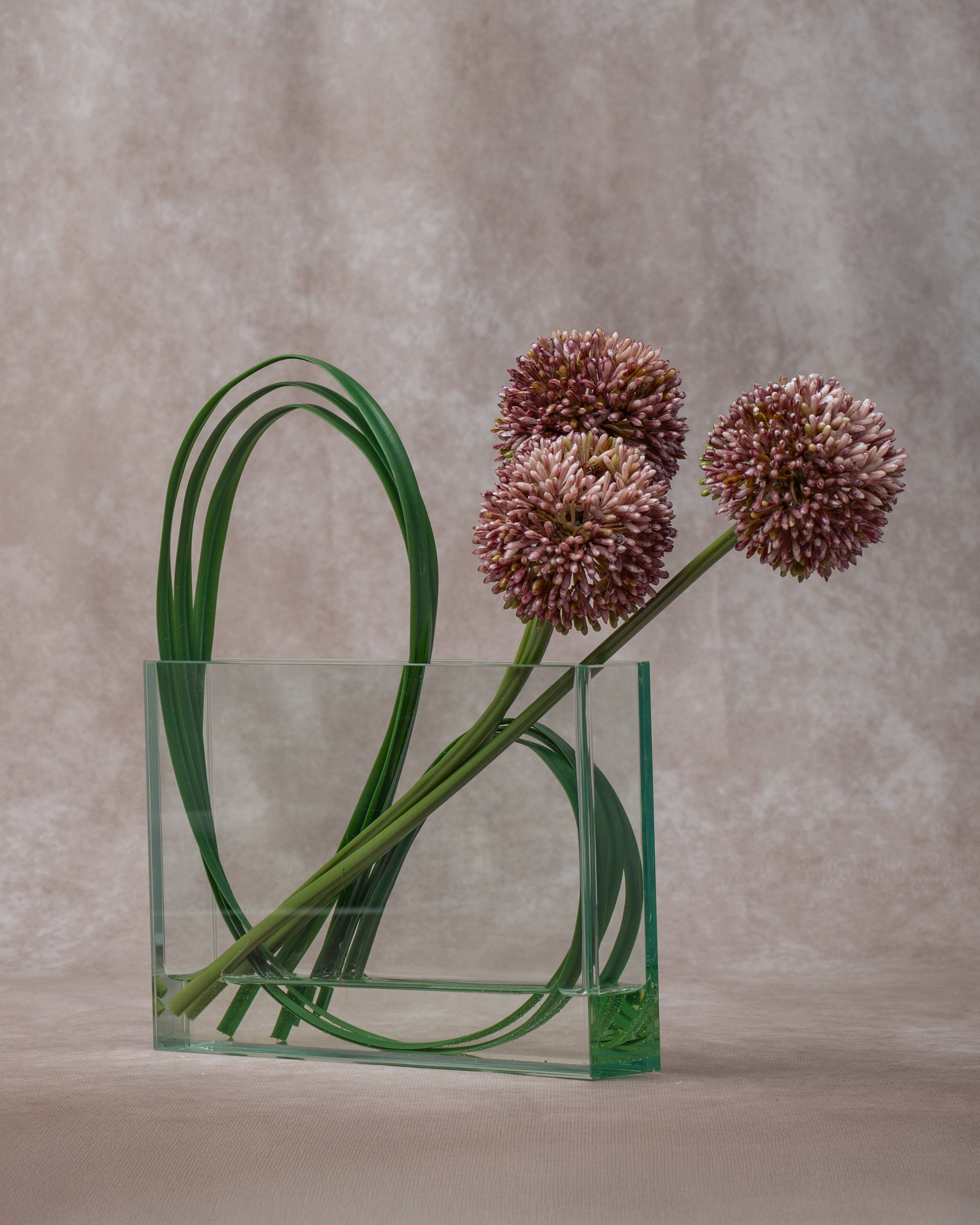 Emilia – Barrett Bergmann Home