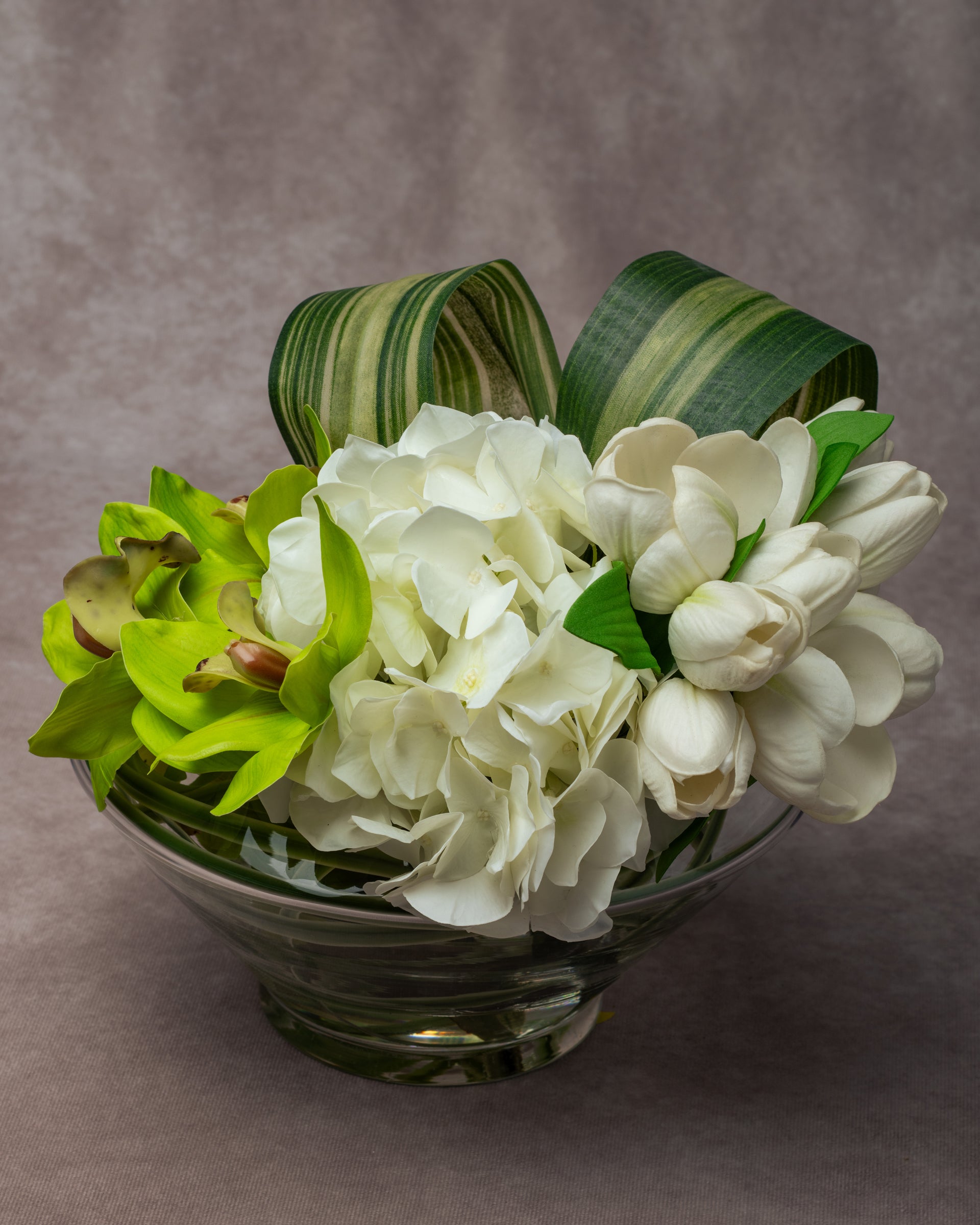 Molly – Barrett Bergmann Home