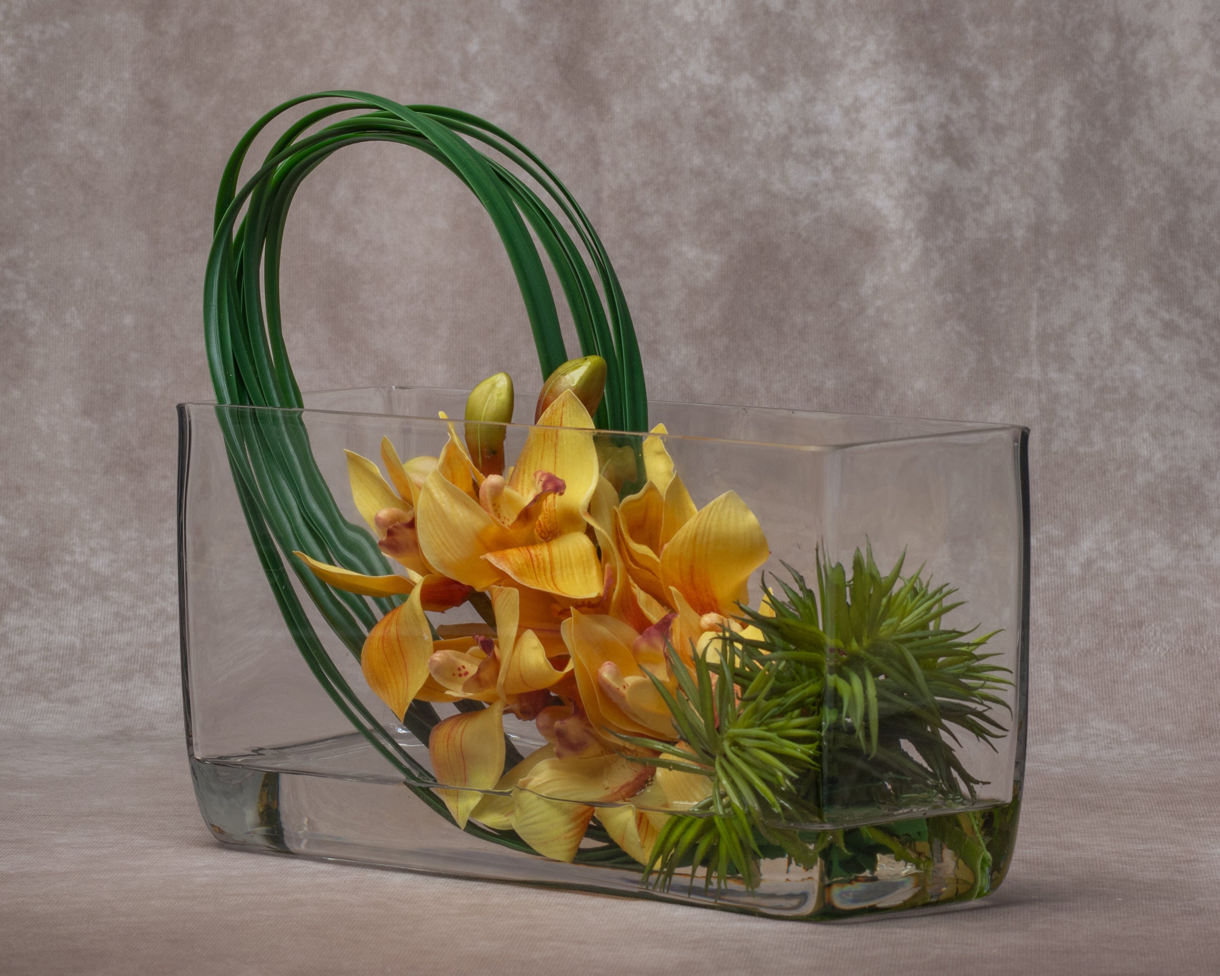 Amazon – Barrett Bergmann Home