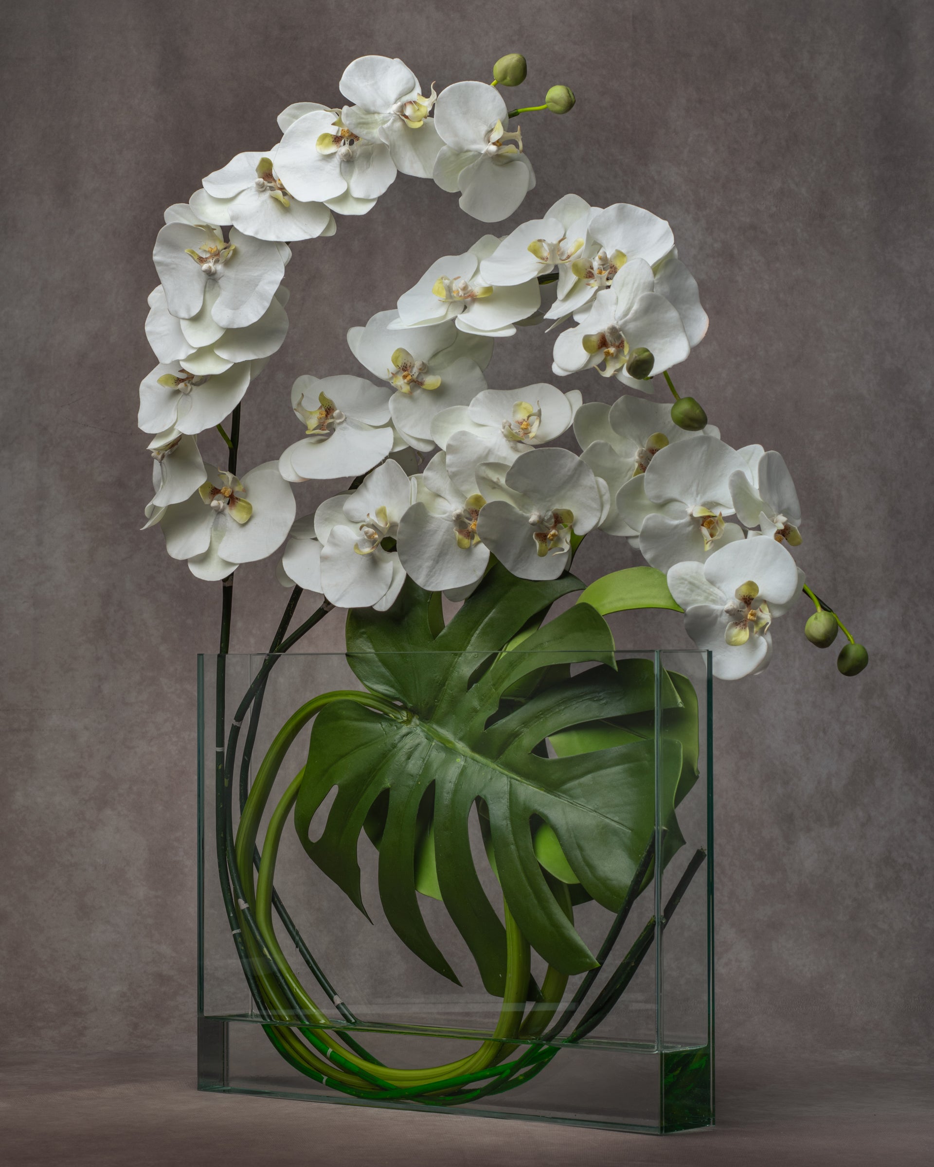 Tilly – Barrett Bergmann Home